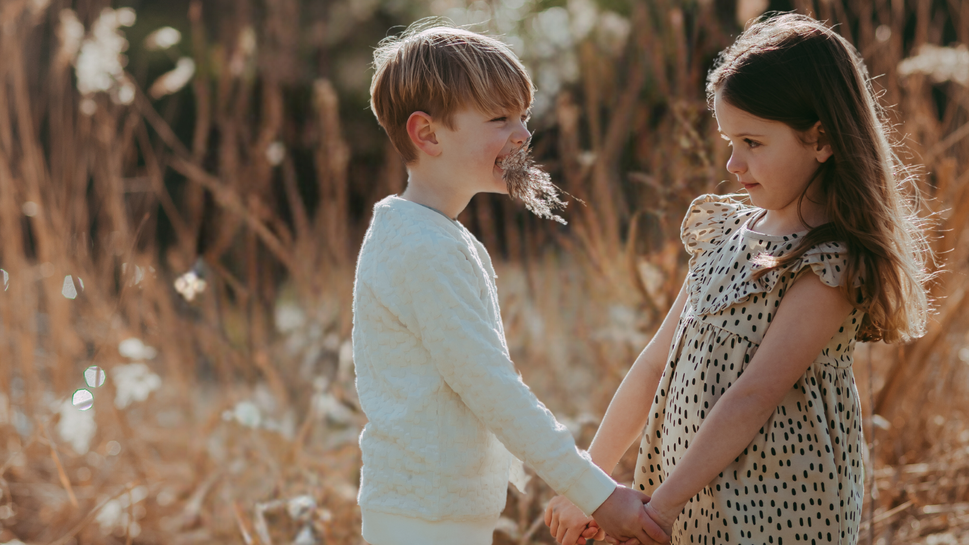 Teddy Bears Print | Turtledove London